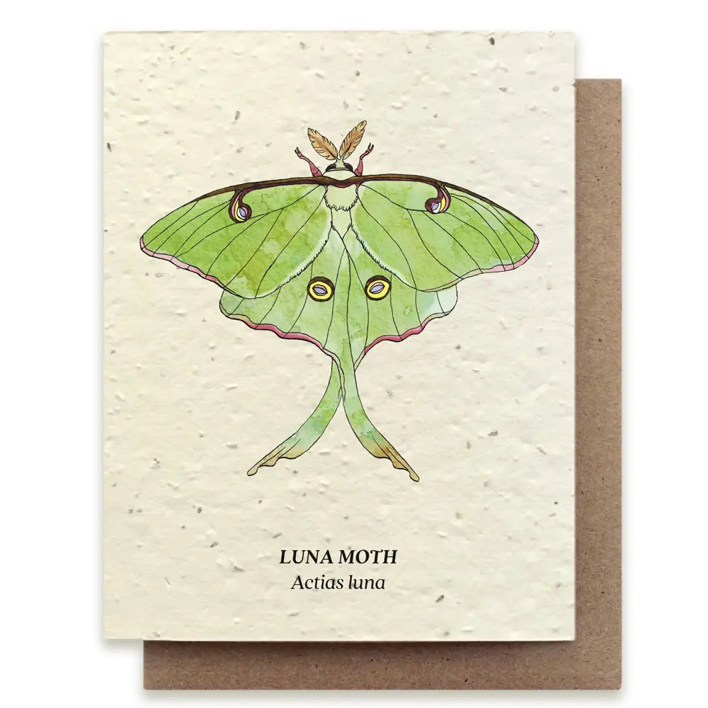 Luna Moth Plantable Wildflower Seed Card Nest Vintage And Home Decor
